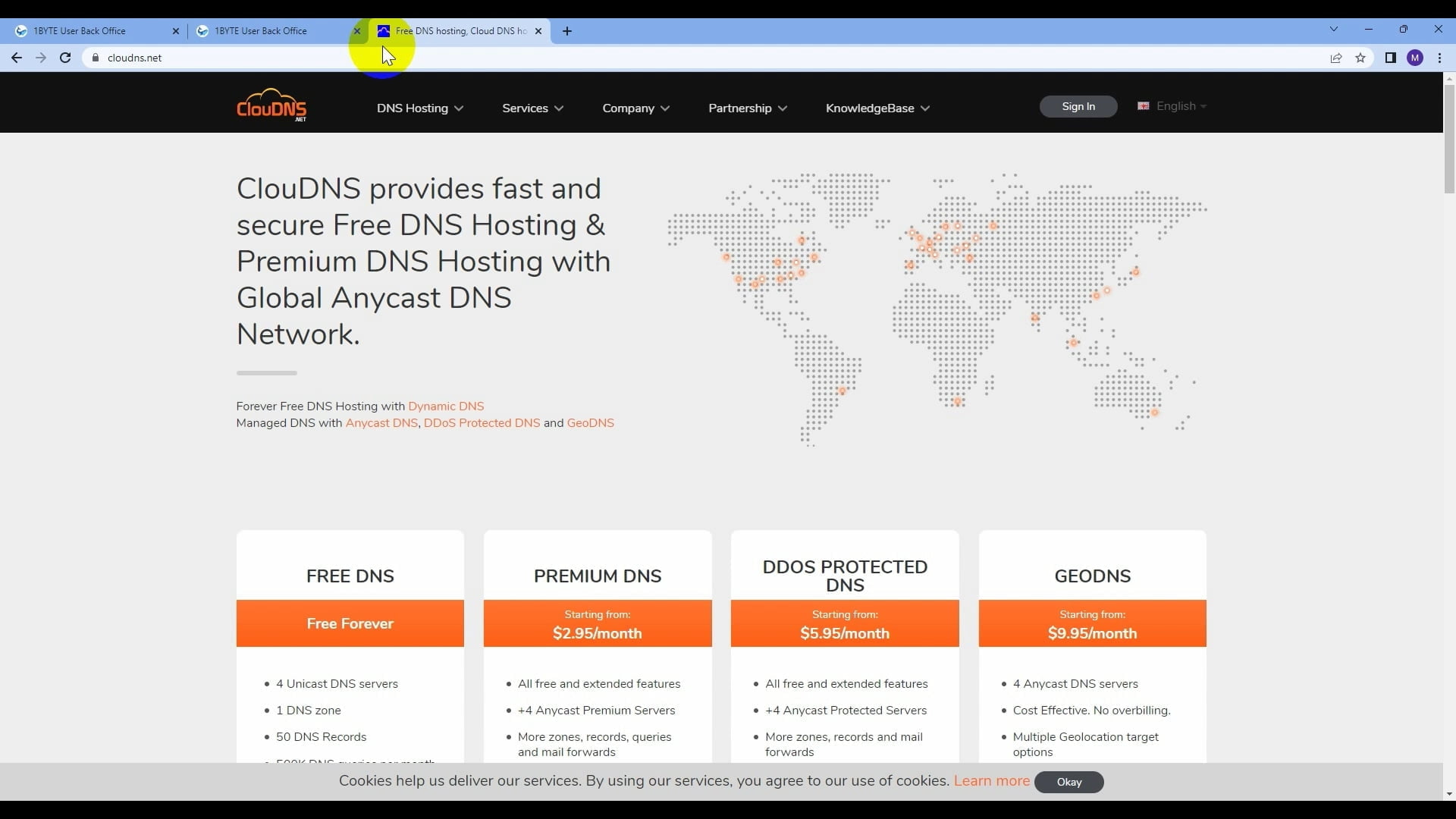 How To Host Any Domain With Free DNS On 1Byte Cloud Hosting | 1Byte1Byte