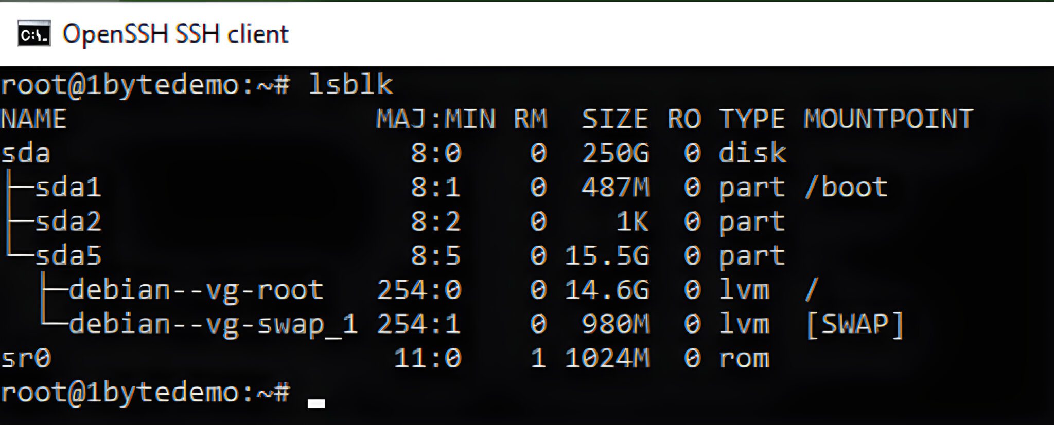 How To Mount (Upgrade) Storage On Debian | 1Byte1Byte