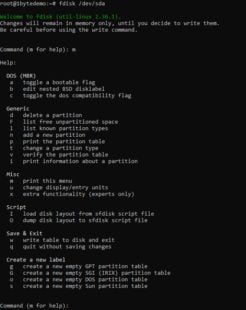 How To Mount (Upgrade) Storage On Debian | 1Byte1Byte