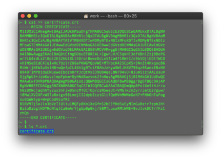 Apache Ssl Certificate Installation 1byte