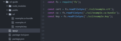 SSL Certificate Installation on Node.js | 1Byte1Byte
