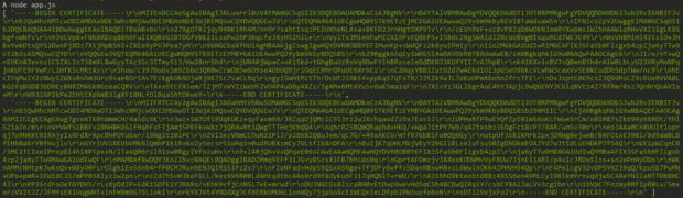 SSL Certificate Installation on Node.js | 1Byte1Byte