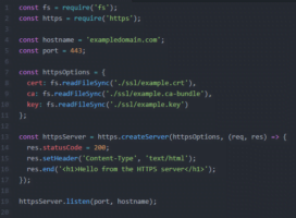 SSL Certificate Installation on Node.js | 1Byte1Byte