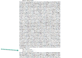 SSL Certificate Installation on XAMPP | 1Byte1Byte
