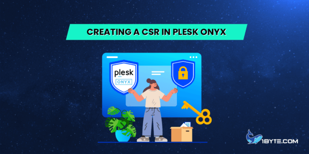 Creating a CSR in Plesk Onyx | 1Byte1Byte